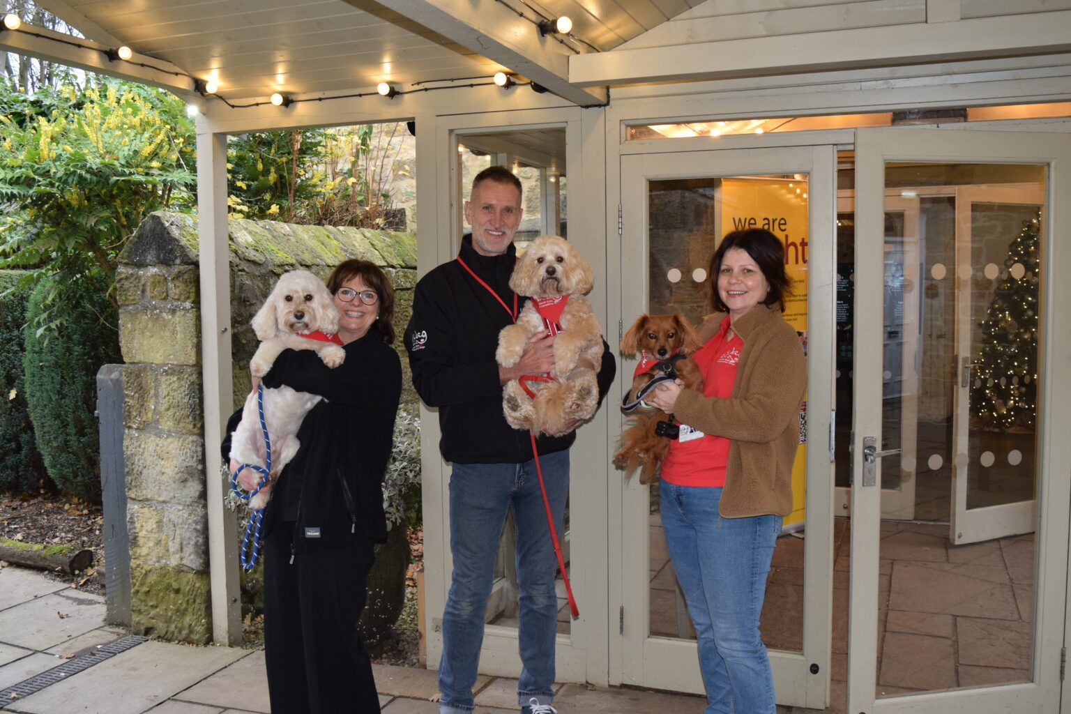 Our festive roundup - Bright Charity