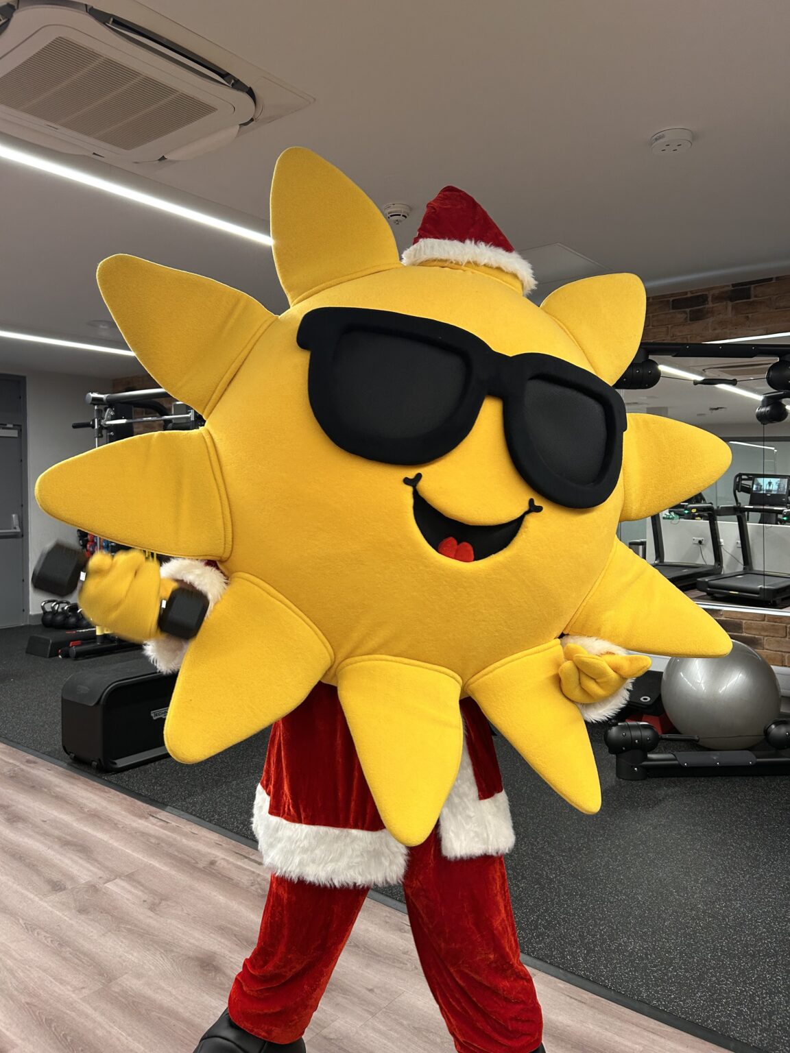 Volunteering opportunity - be our mascot! - Bright Charity